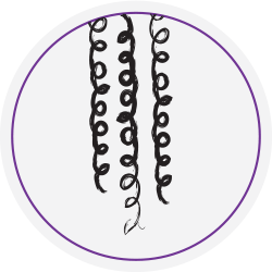 Loose coils (Demo) – The Moisture Factory